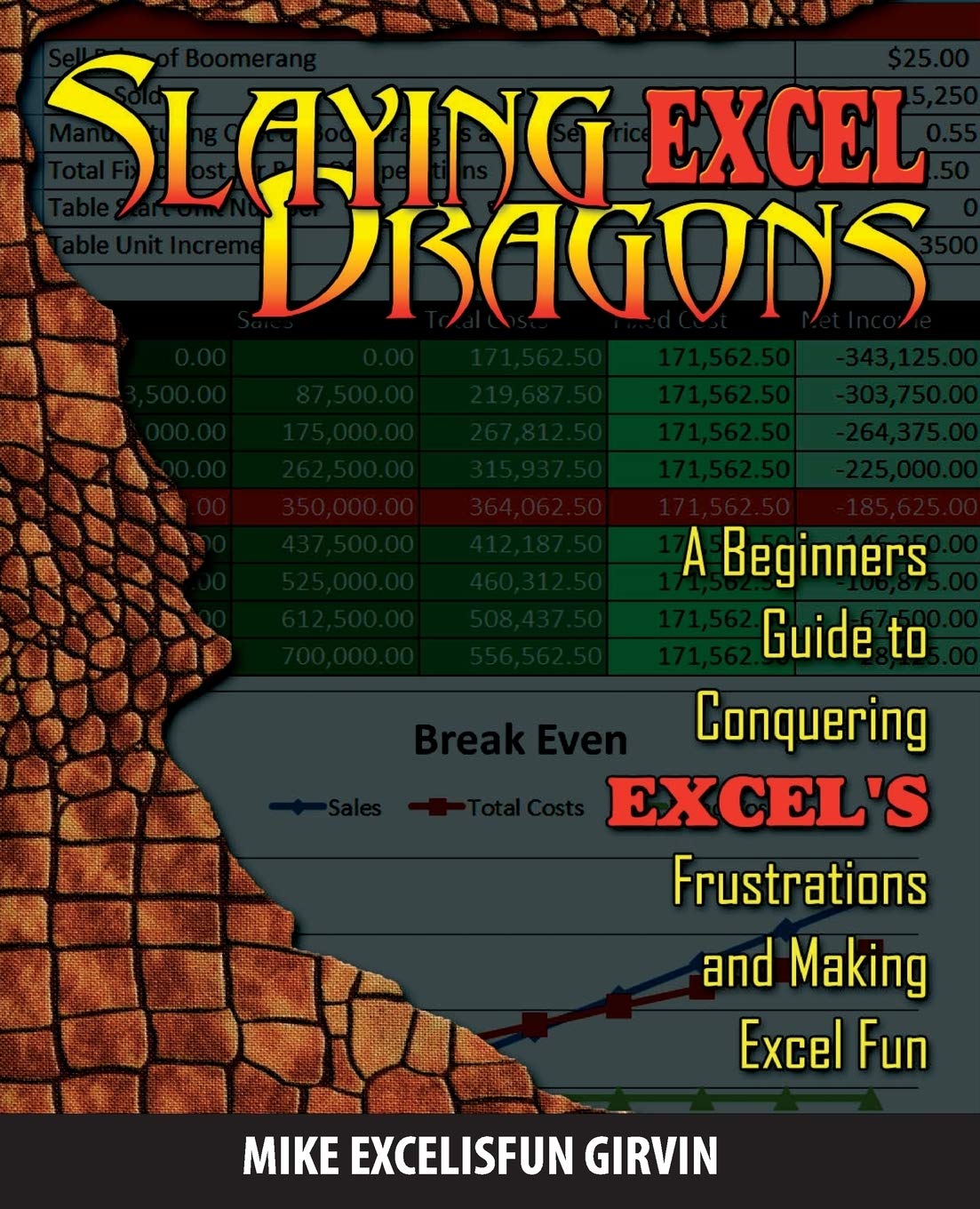 Slaying Excel Dragons: A Beginners Guide to Conquering Excel's Frustra – Aspen Book Company