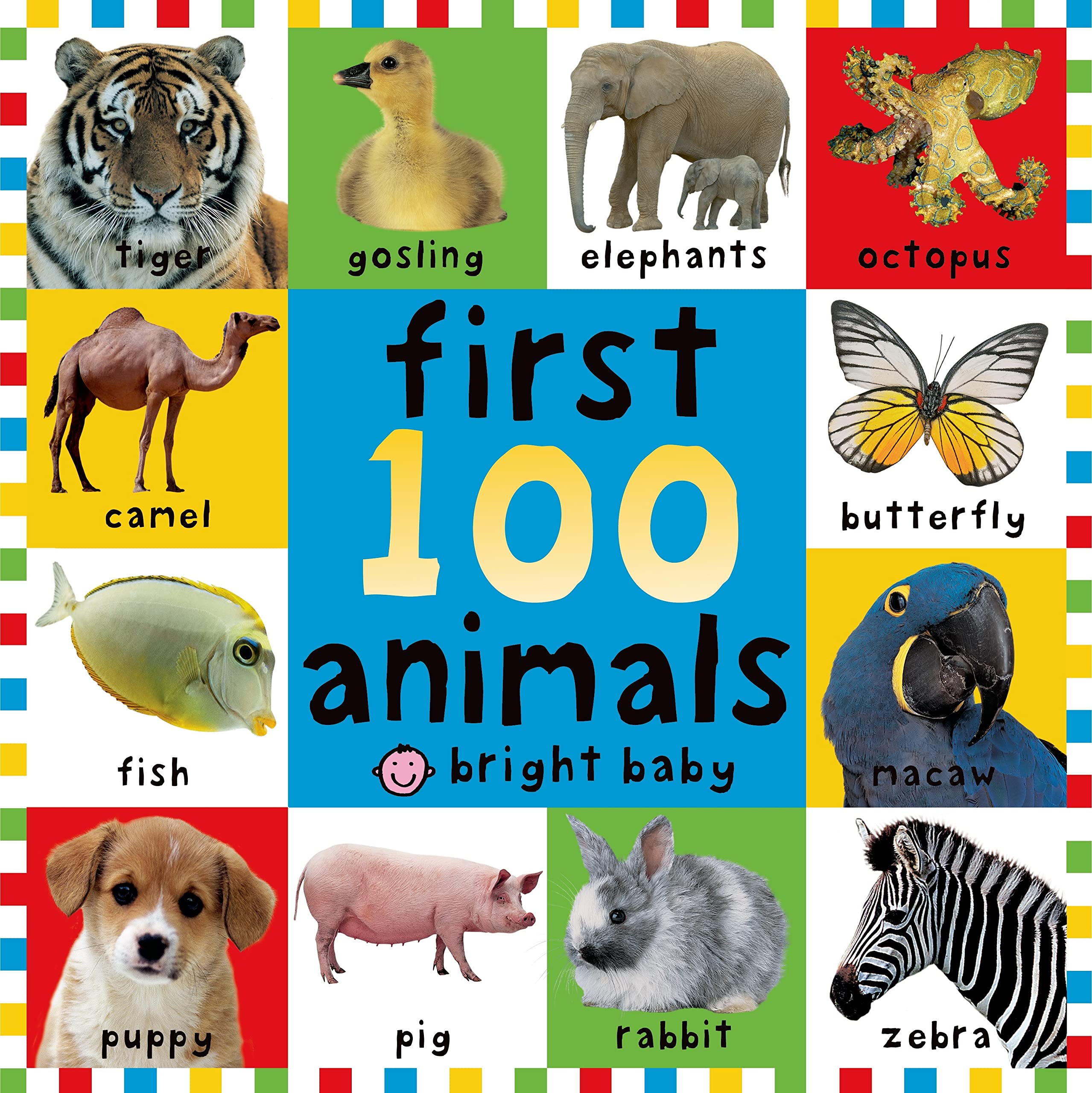 First 100 Animals: In the bestselling First 100 series – Aspen Book Company
