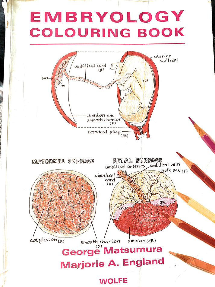 Embryology Coloring Book – Aspen Book Company