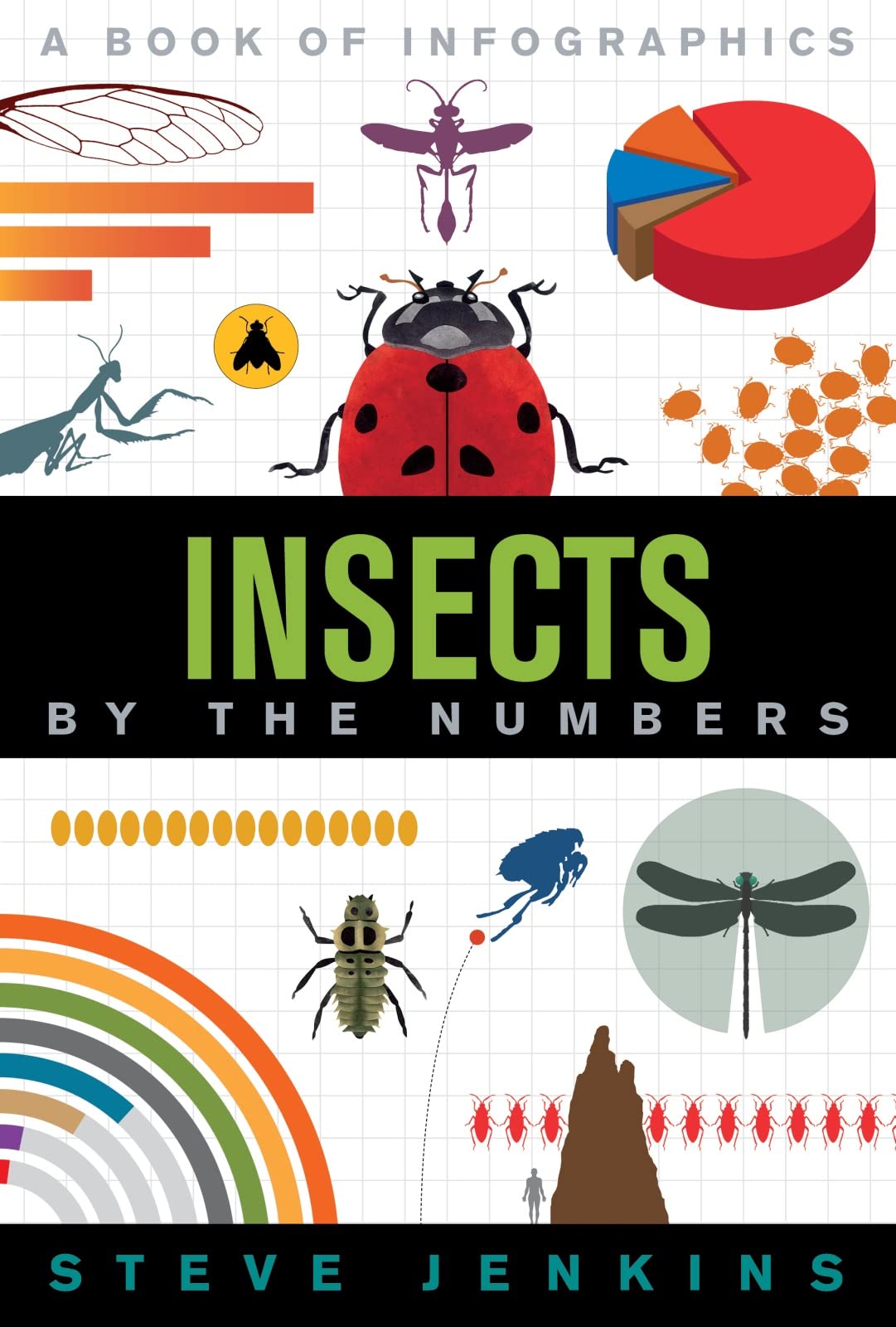 Insects: By The Numbers - 5509 – Aspen Book Company