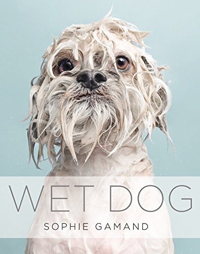 Wet Dog – Aspen Book Company